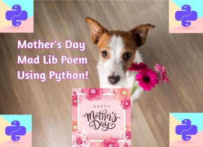 Coding Academy - Testing Mom