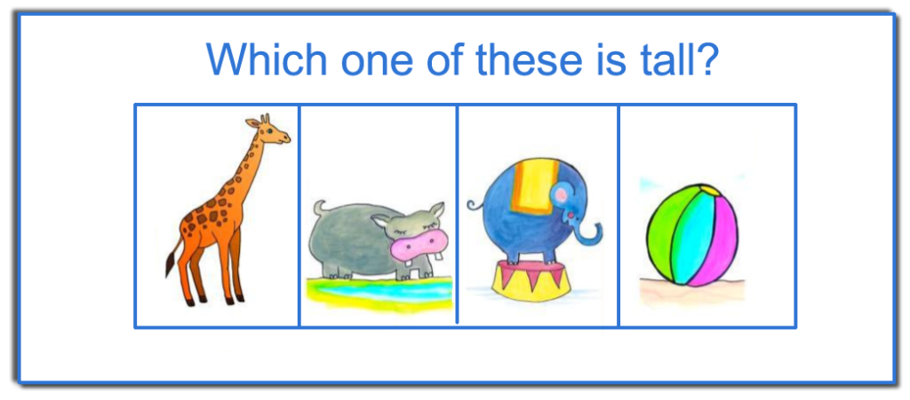 BSRA Test Bracken School Readiness Assessment TestingMom