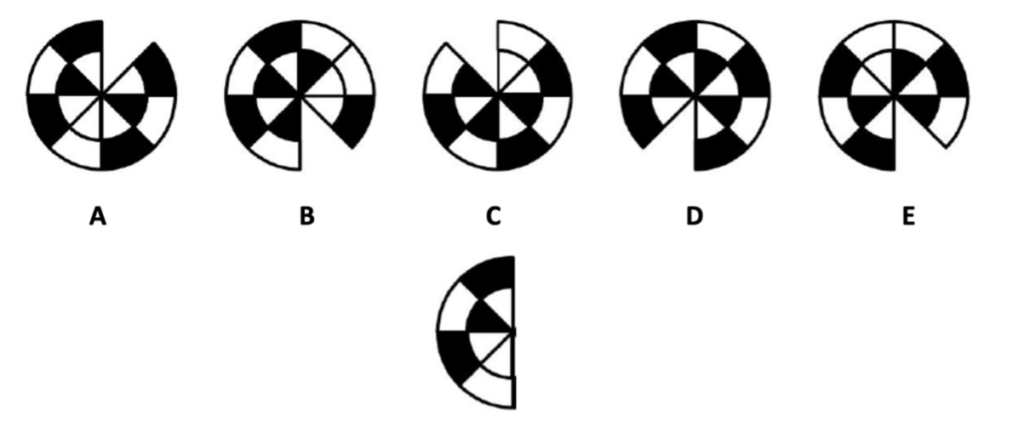 CAT4 - Spatial Reasoning - Testing Mom