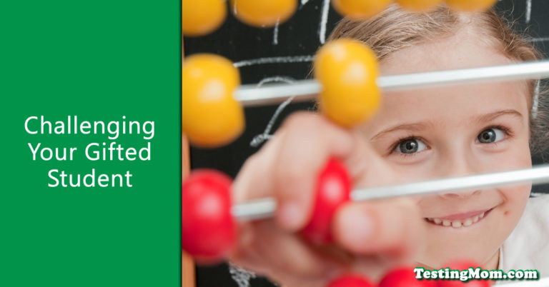 Challenging Your Gifted Student