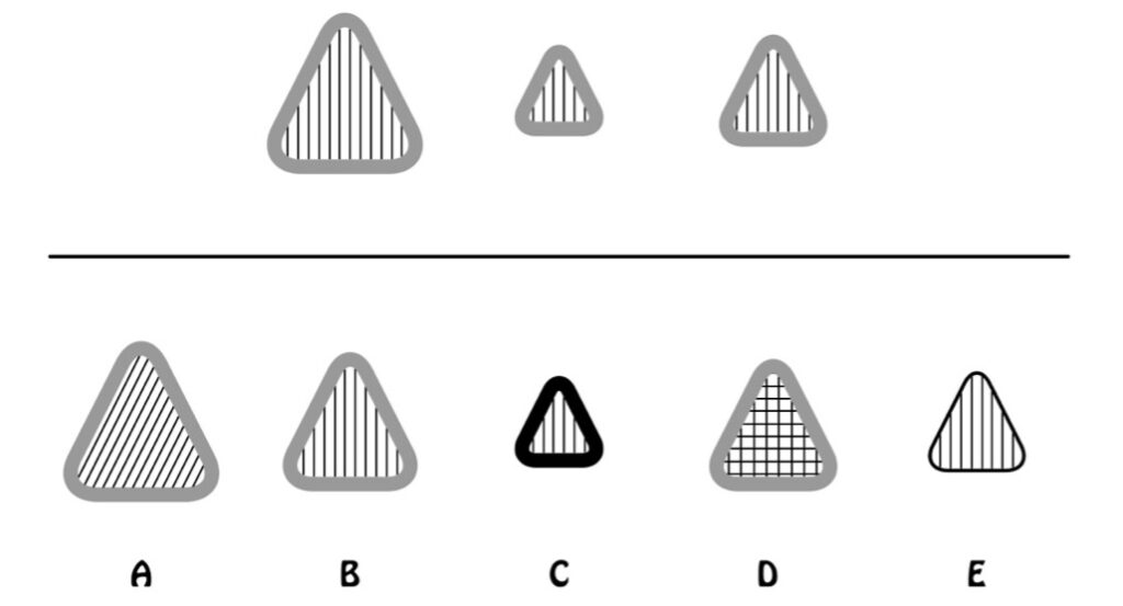 CAT4 - Nonverbal Reasoning - Testing Mom