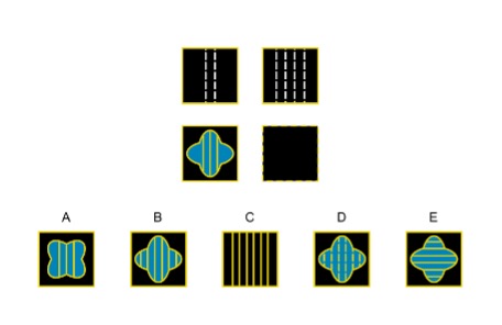 CAT4 - Nonverbal Reasoning - Testing Mom