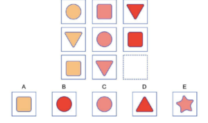 NNAT 1st Grade Sample Questions (Level B)