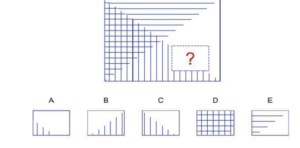 NNAT 1st Grade Sample Questions (Level B)