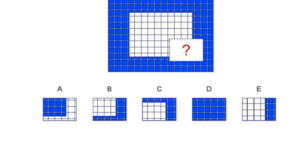 NNAT 3rd-4th Grade Sample Questions (Level D)