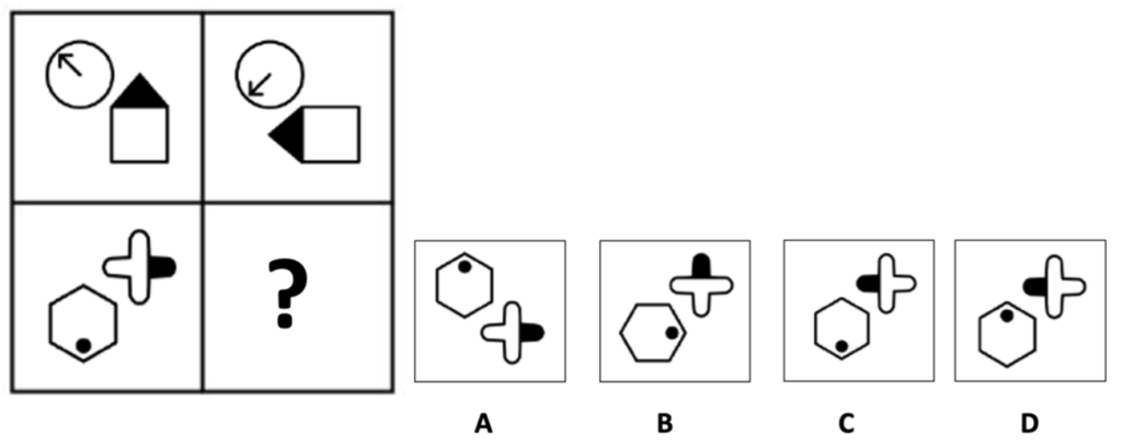 NGAT (Naglieri General Ability Tests) - Tests and Sample Questions ...