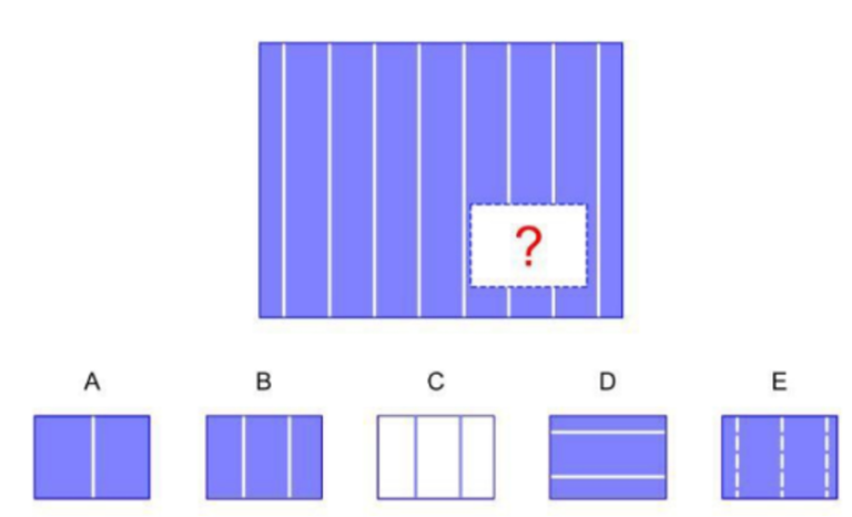 NGAT (Naglieri General Ability Tests) - Tests and Sample Questions ...
