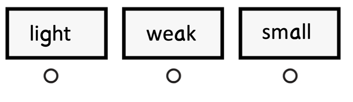 Renaissance Star Early Literacy - Overview