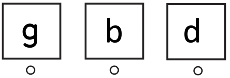 SAT10 - Reading Practice Questions