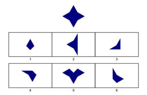 WISC Test Sample Questions for 11 Year Olds - TestingMom.com