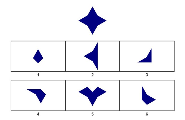 WISC Test Sample Questions for 11 Year Olds - TestingMom.com