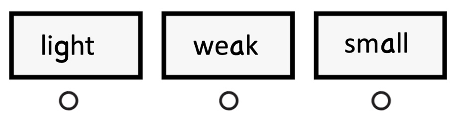 Florida (FAST) Star Early Literacy Test - Sample Questions - Testing Mom