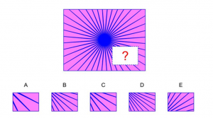 Free NNAT Practice Test | 3rd Grade - TestingMom.com