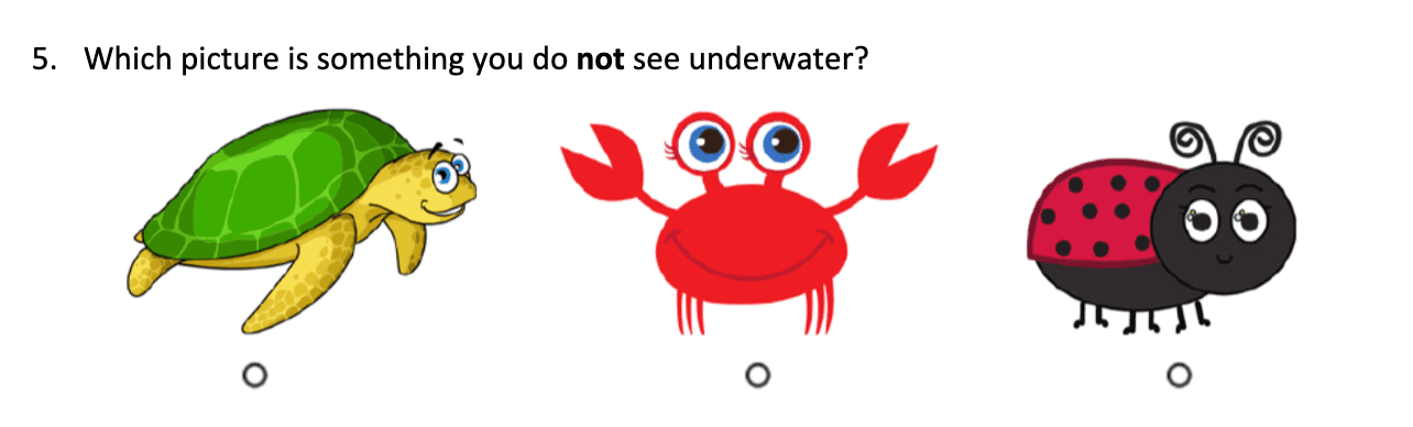 MAP Tests for Kindergarten through 1st grade