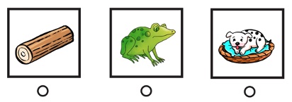 WIAT-4 (WIAT-IV) Achievement Testing - Oral Language - TestingMom.com